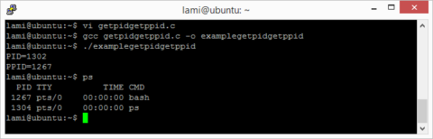 getpid and getppid (System Calls) (example) | Operating systems ...
