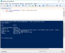 Obtener información sobre un servidor web con PowerShell | Operating ...