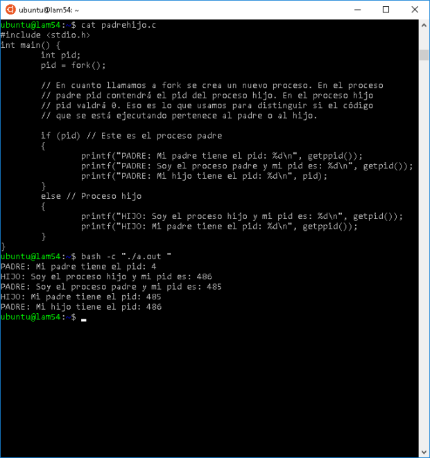 Crear un proceso hijo mediante la función fork de Linux (en Bash y en PowerShell mediante WSL ...